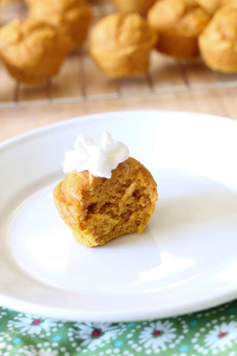 Two-Ingredient Pumpkin Spice Muffins - All Things Mamma
