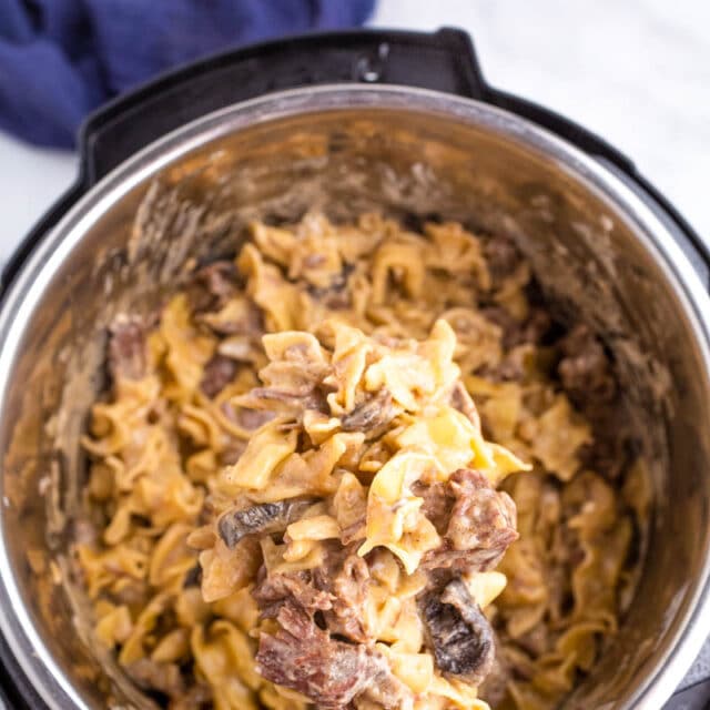 20+ Easy Instant Pot Ground Beef Recipes | All Things Mamma