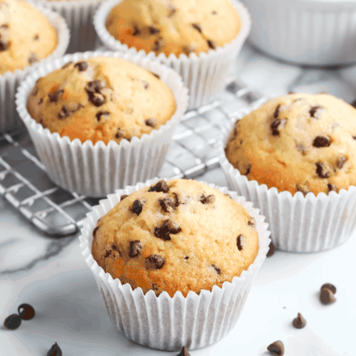 Chocolate Chip Muffins - All Things Mamma