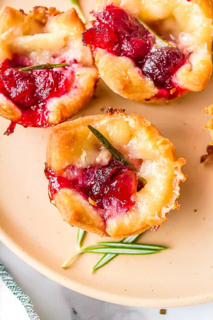 Cranberry Brie Bites (Easy Crescent Roll Recipe!) | All Things Mamma