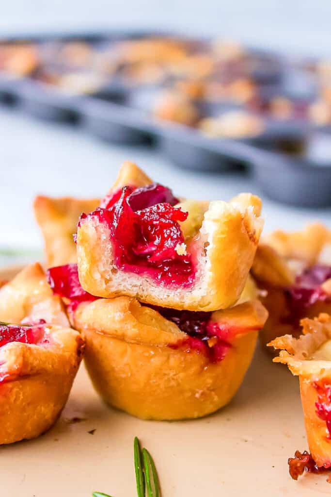 Cranberry Brie Bites (Easy Crescent Roll Recipe!) | All Things Mamma