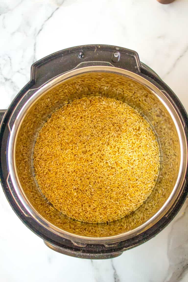 Easy Instant Pot Rice Recipe | All Things Mamma