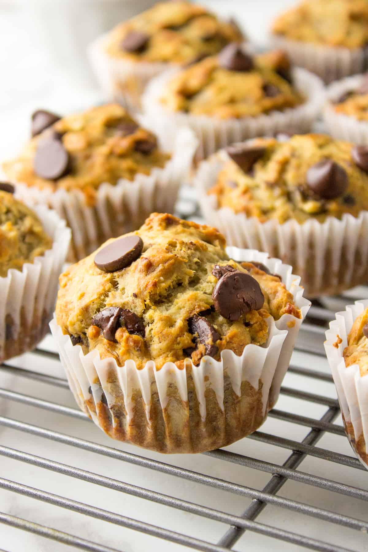 17+ Easy Muffin Recipes | All Things Mamma