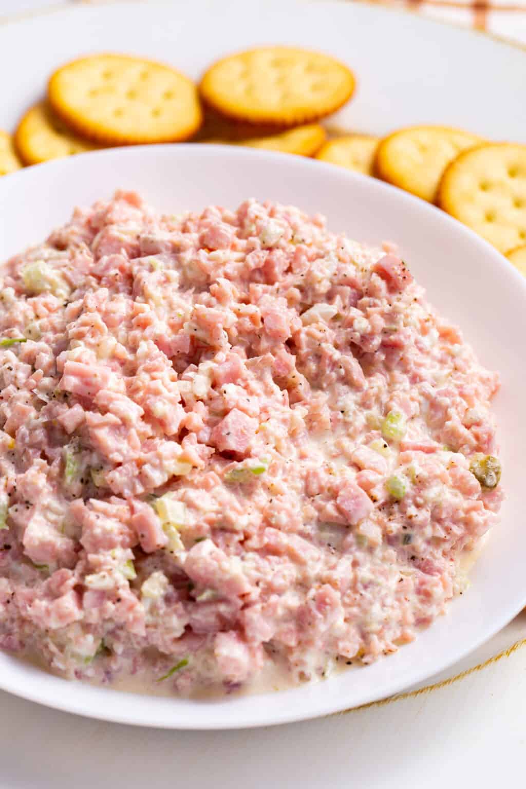 Easy 10-Minute Ham Salad Recipe | All Things Mamma