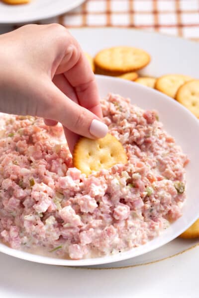 Easy 10-Minute Ham Salad Recipe | All Things Mamma