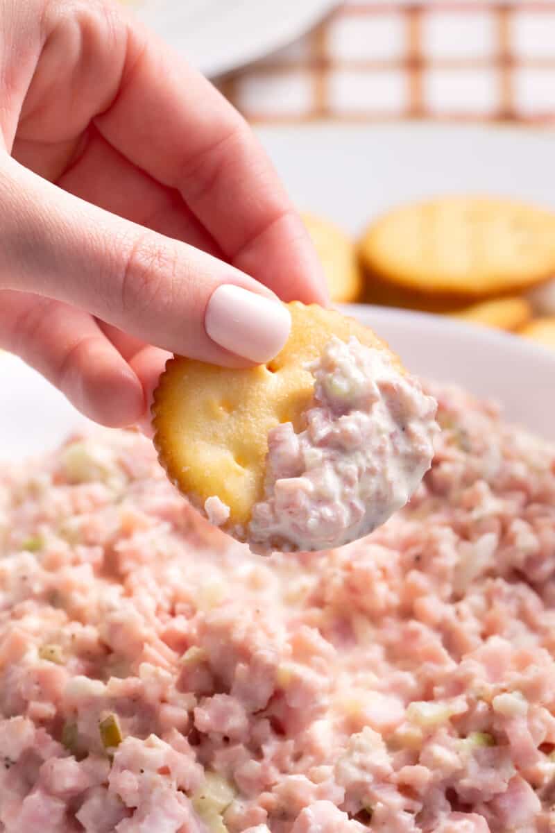 Easy Ham Salad Recipe | All Things Mamma