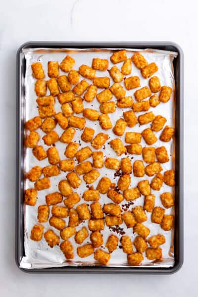 Cheesy Loaded Tater Tots Recipe | All Things Mamma