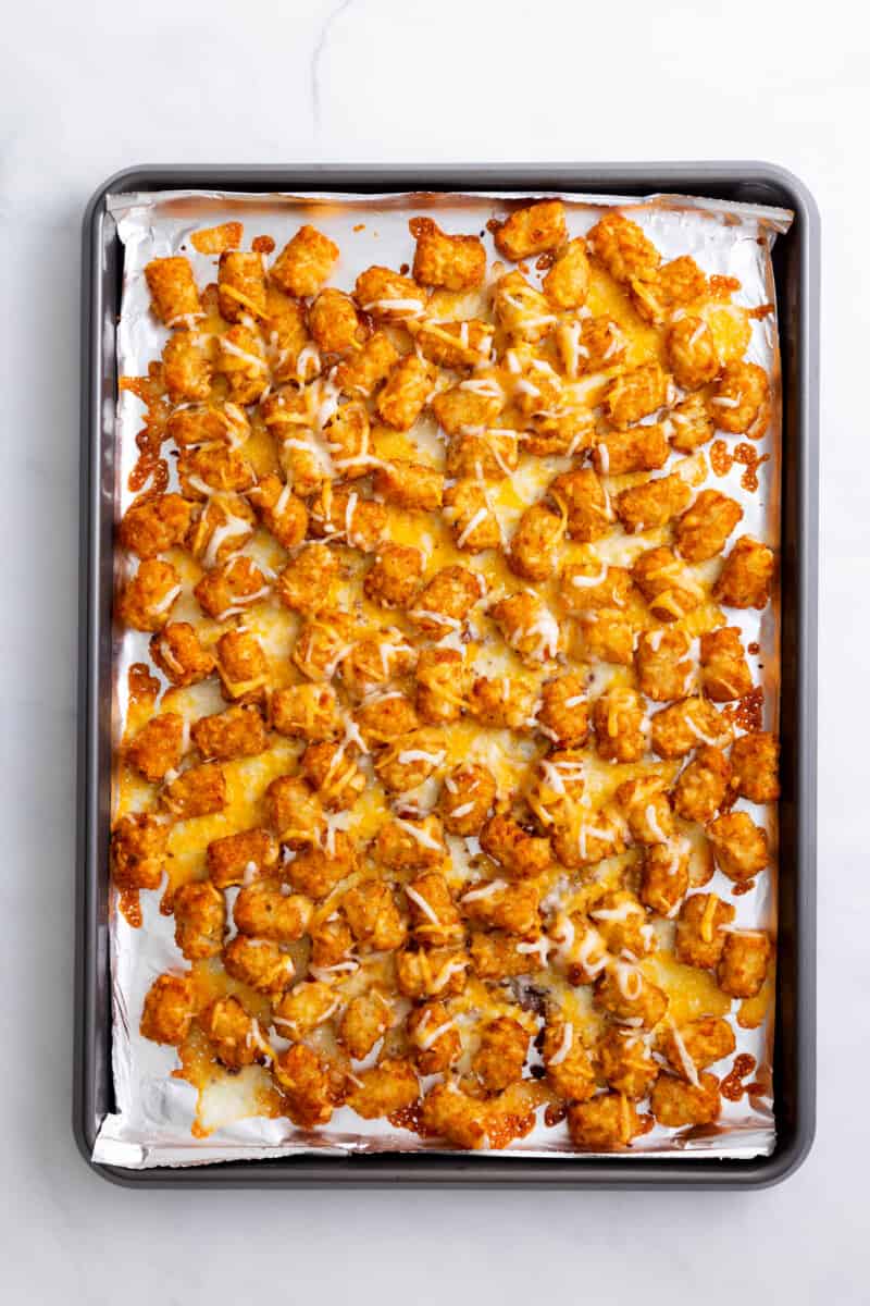 Cheesy Loaded Tater Tots Recipe | All Things Mamma