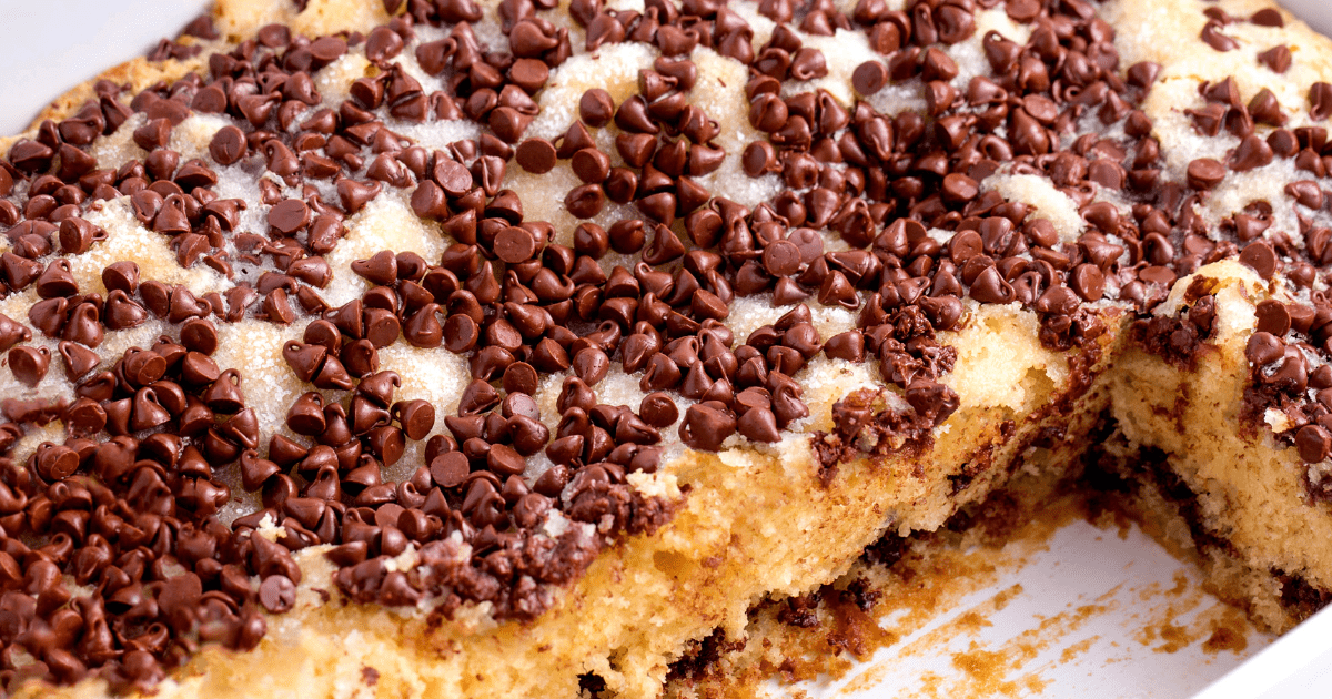 Chocolate Chip Cake Recipe | All Things Mamma