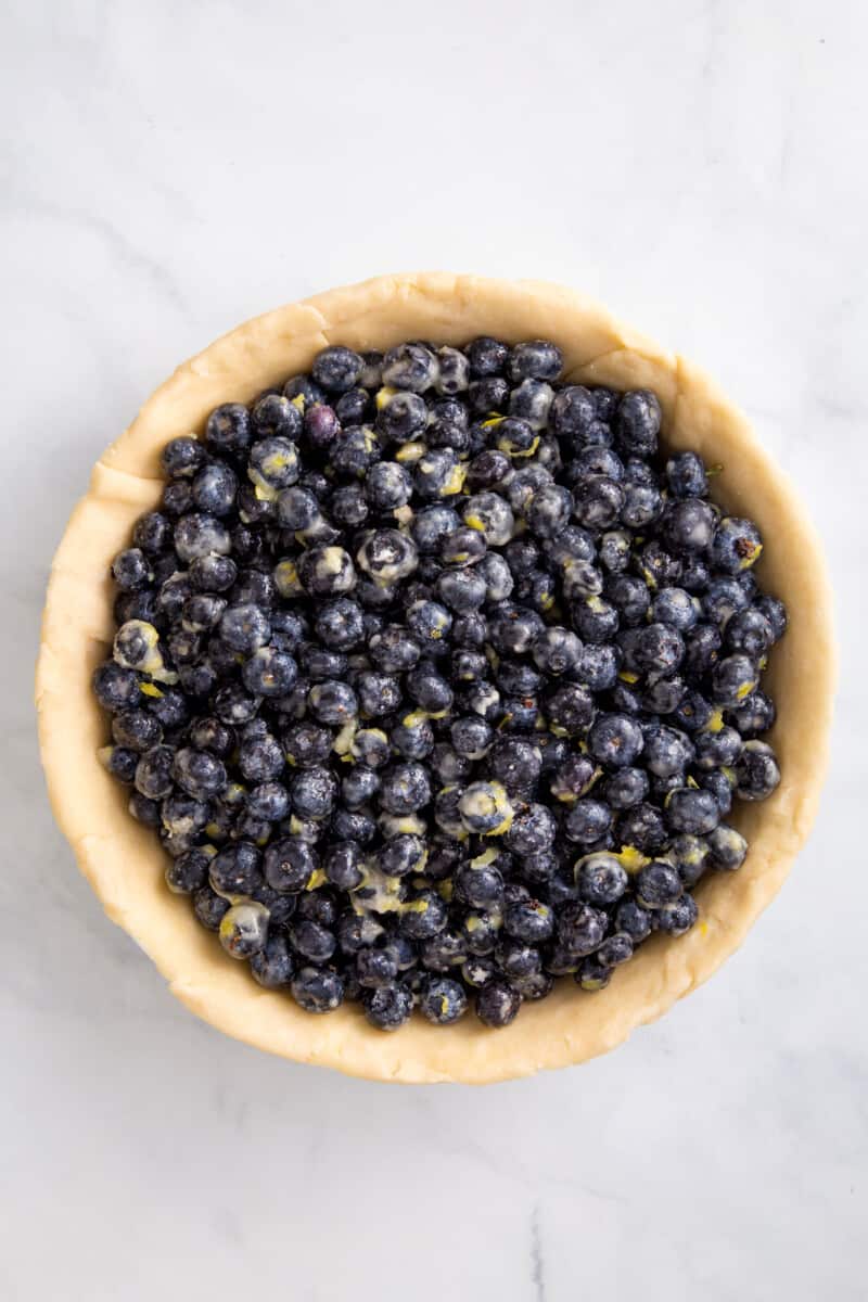 The Easiest Blueberry Pie Recipe | All Things Mamma