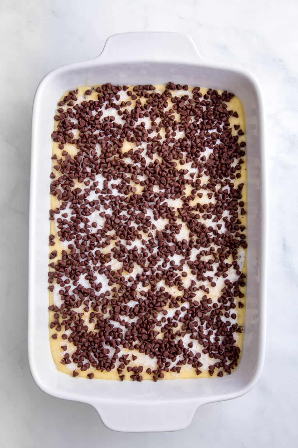 Chocolate Chip Cake Recipe | All Things Mamma