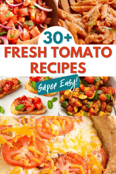 30+ Fresh Tomato Recipes for Tomato Season - All Things Mamma