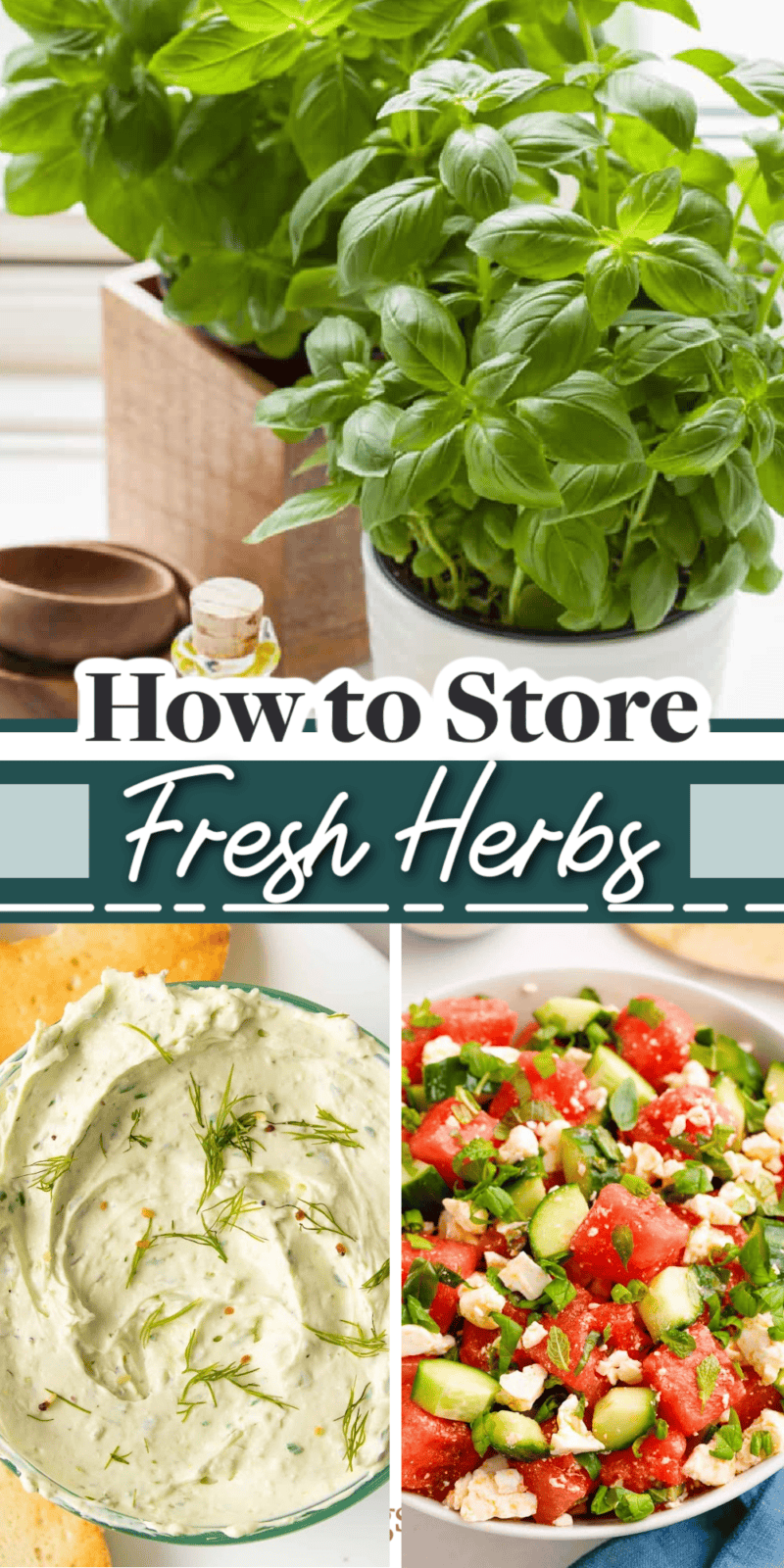 How To Store Fresh Herbs - All Things Mamma