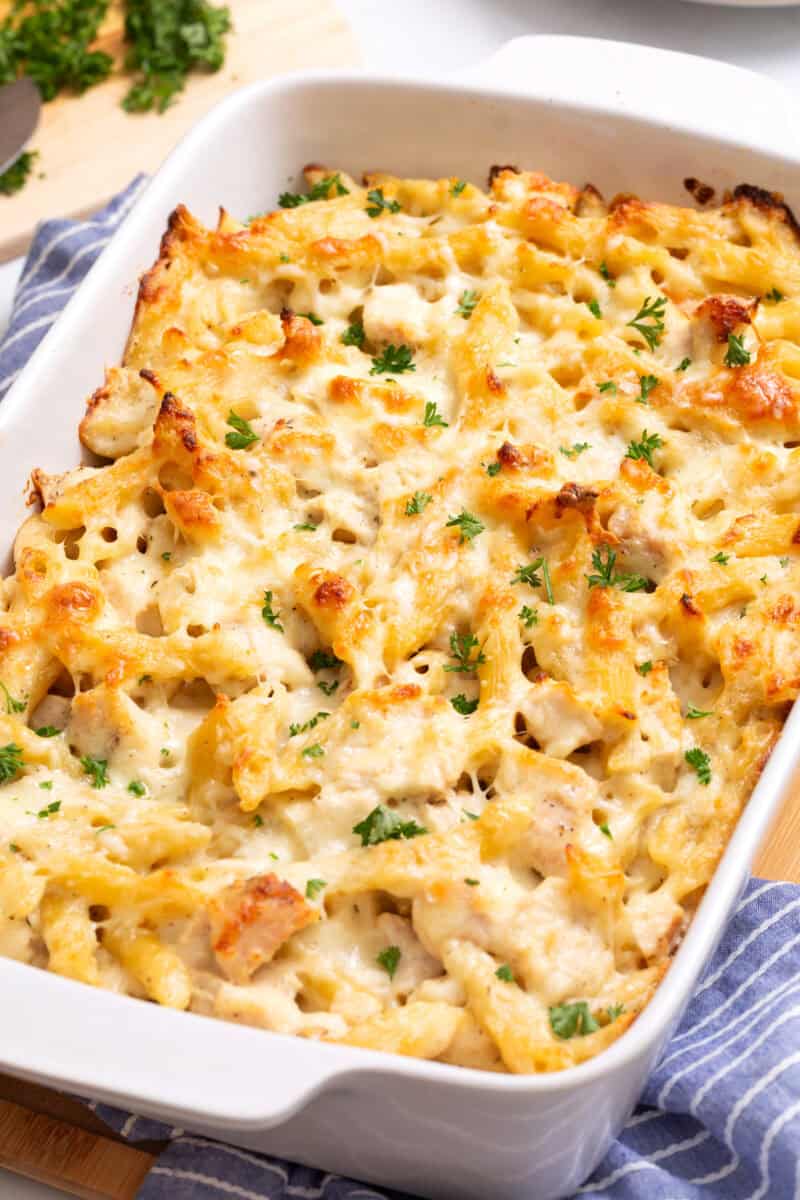 Chicken Alfredo Bake Casserole - All Things Mamma