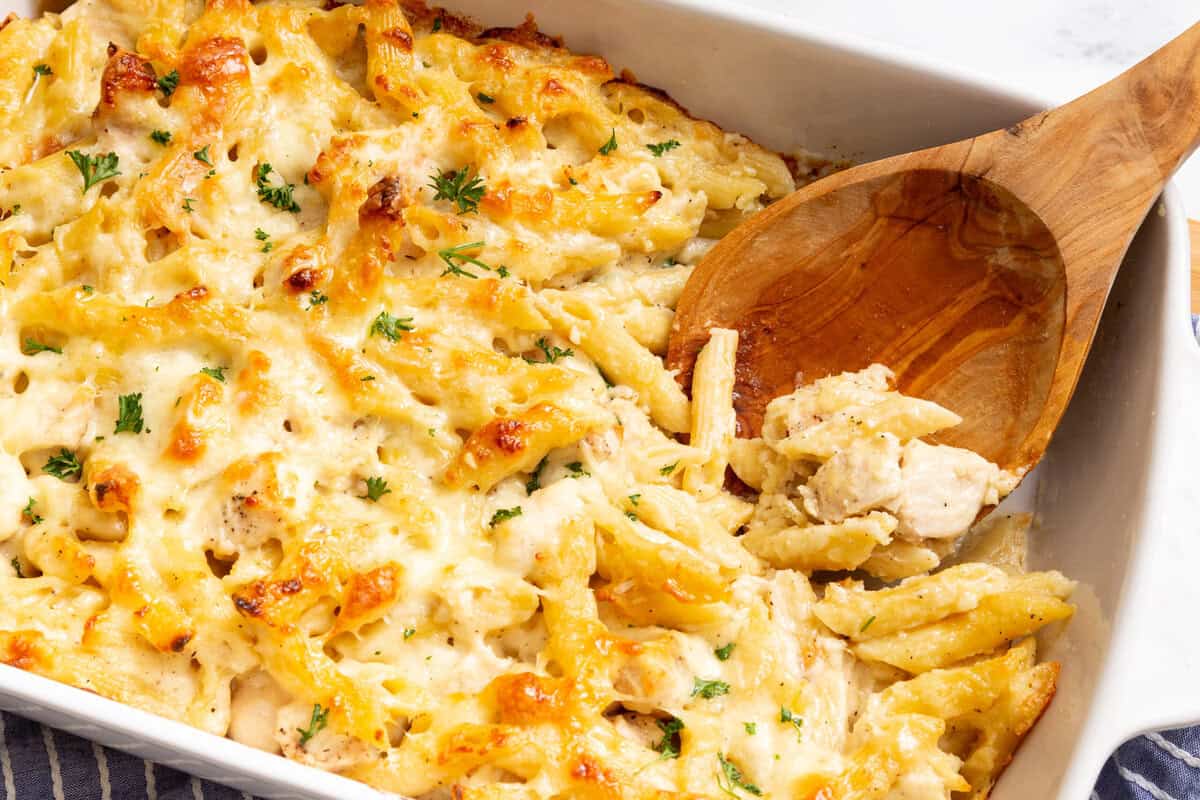 Chicken Alfredo Bake Casserole - All Things Mamma
