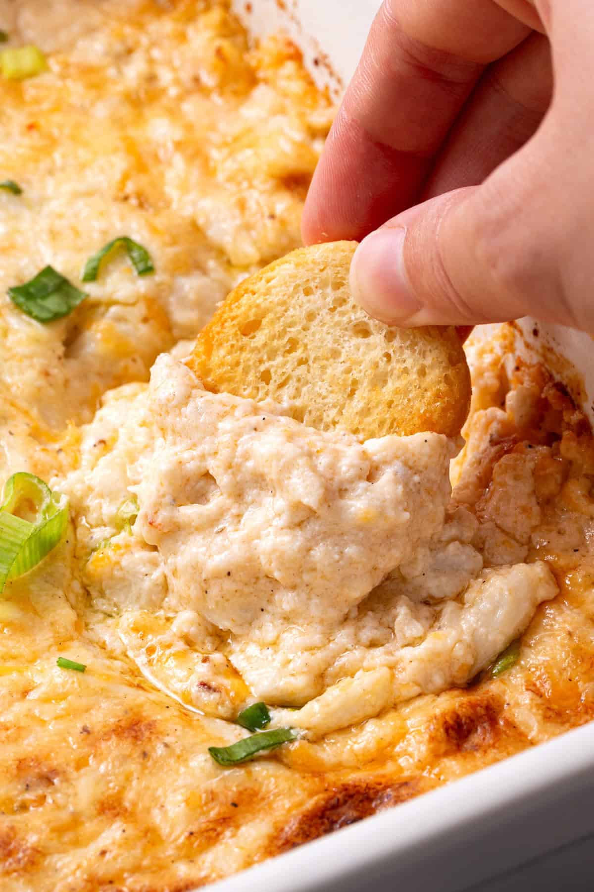 Baked Hot Crab Dip All Things Mamma