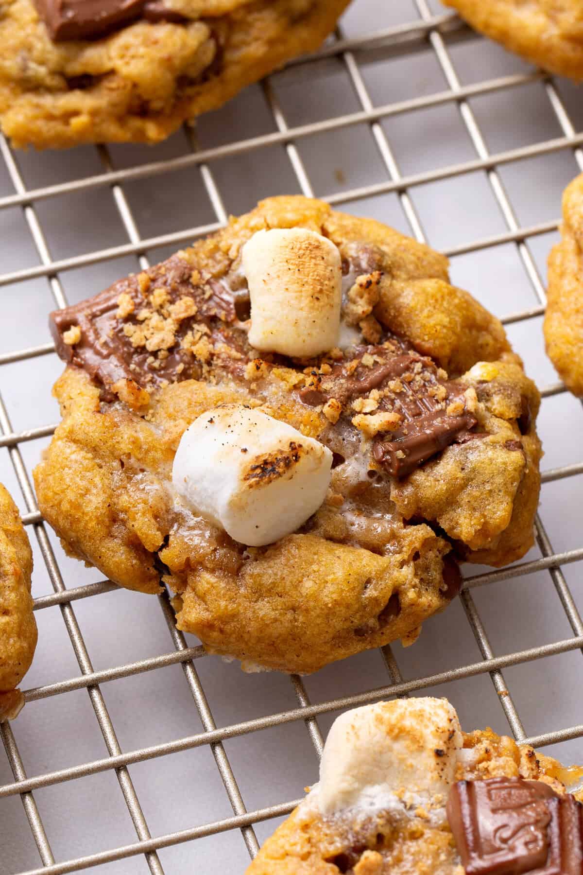 The Best Blueberry Cookies Recipe - All Things Mamma